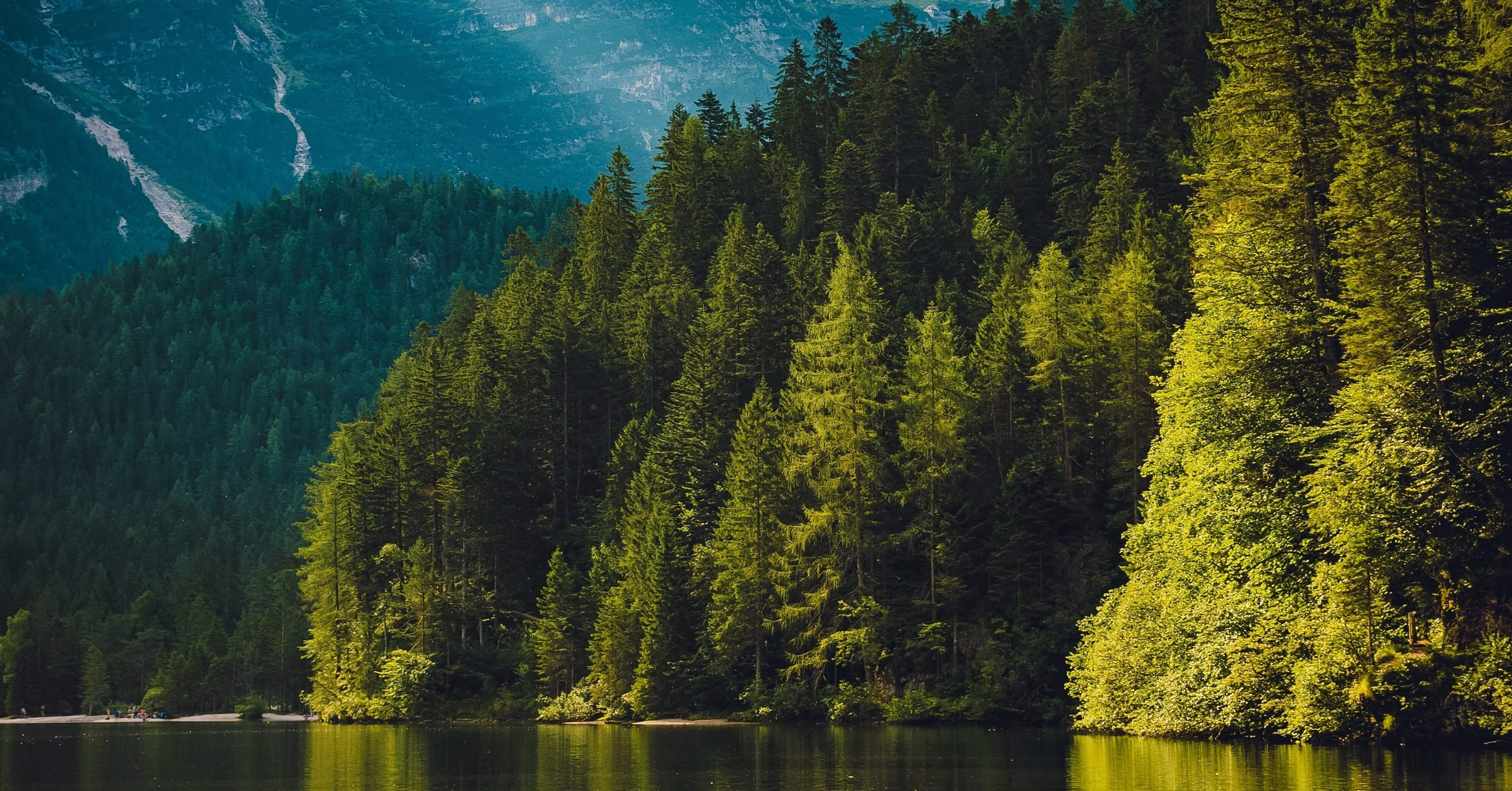 Loomis Sayles Global Fixed Income