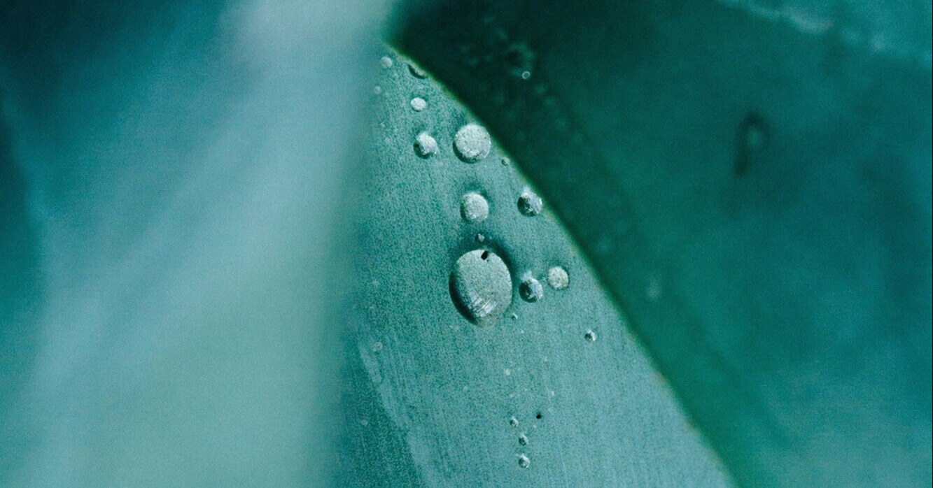 Loomis Sayles Global Fixed Income